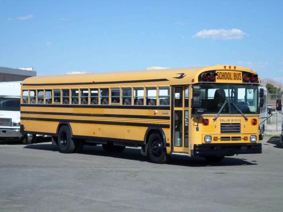 Blue Bird School Bus Images