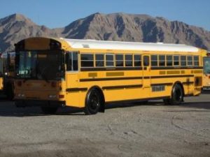 flat-nose-school-bus-sales-b56671 - Las Vegas Bus Sales