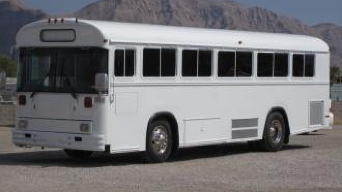 White Bluebird Bus