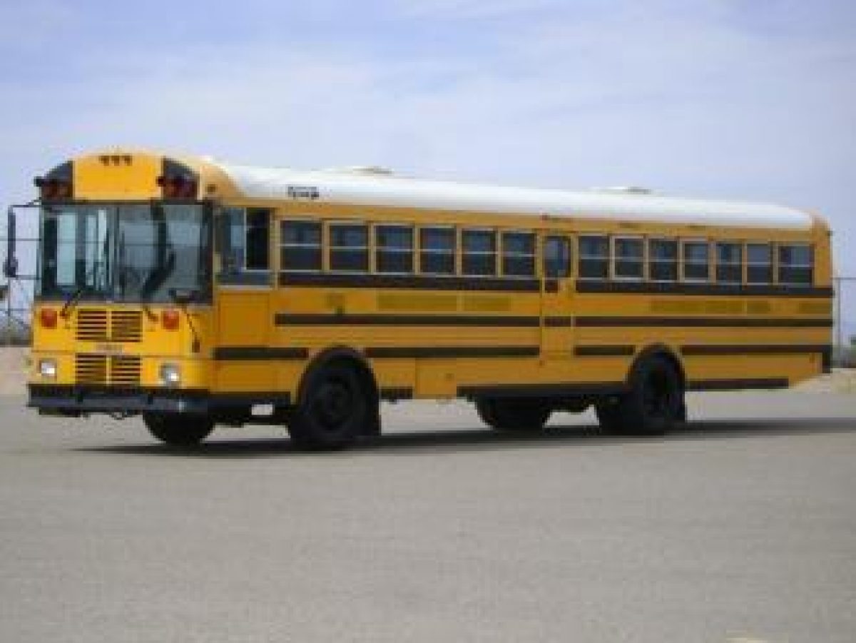 1996 International Bus
