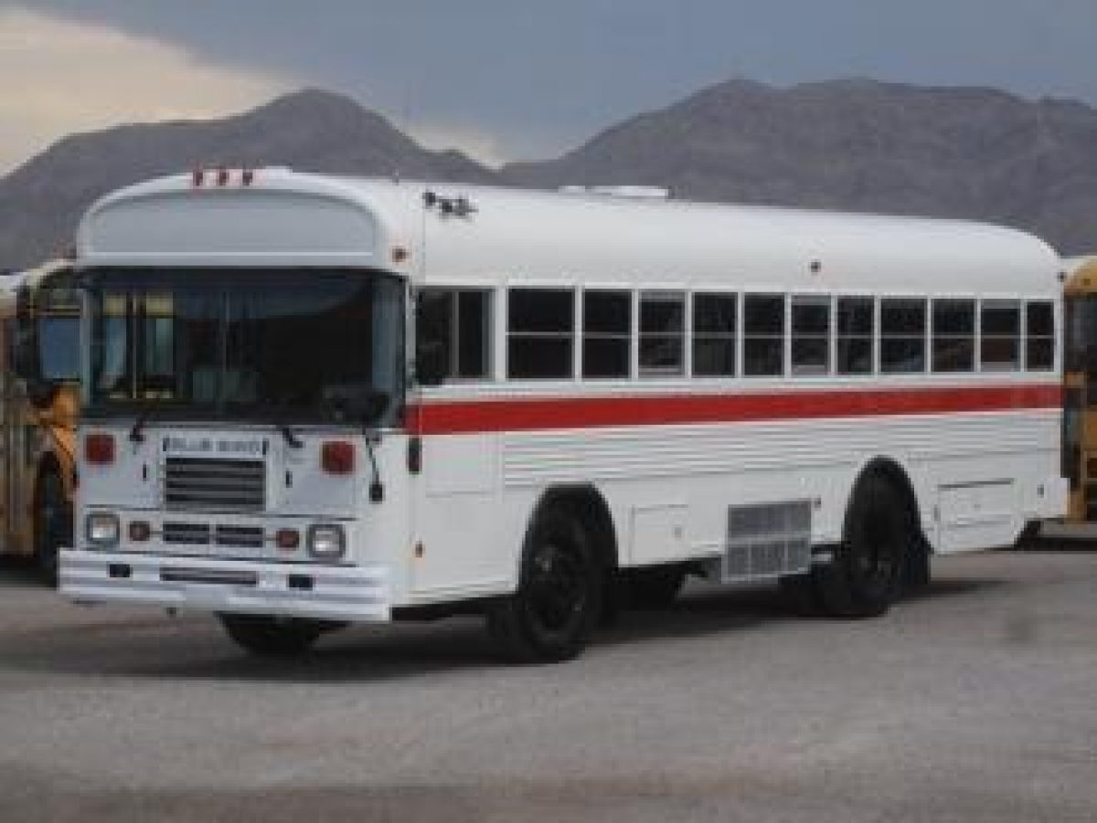 White Bluebird Bus