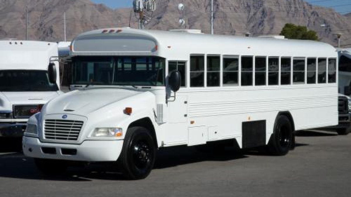 White Bluebird Bus